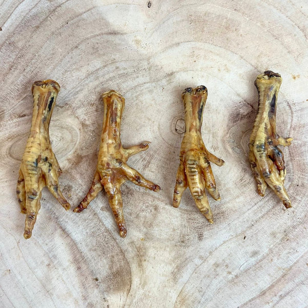 Chicken Feet – Wild Paws and Claws